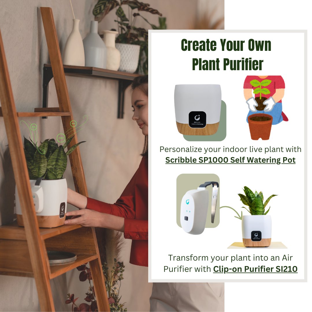 5. Live Plant Series – Zero2.5