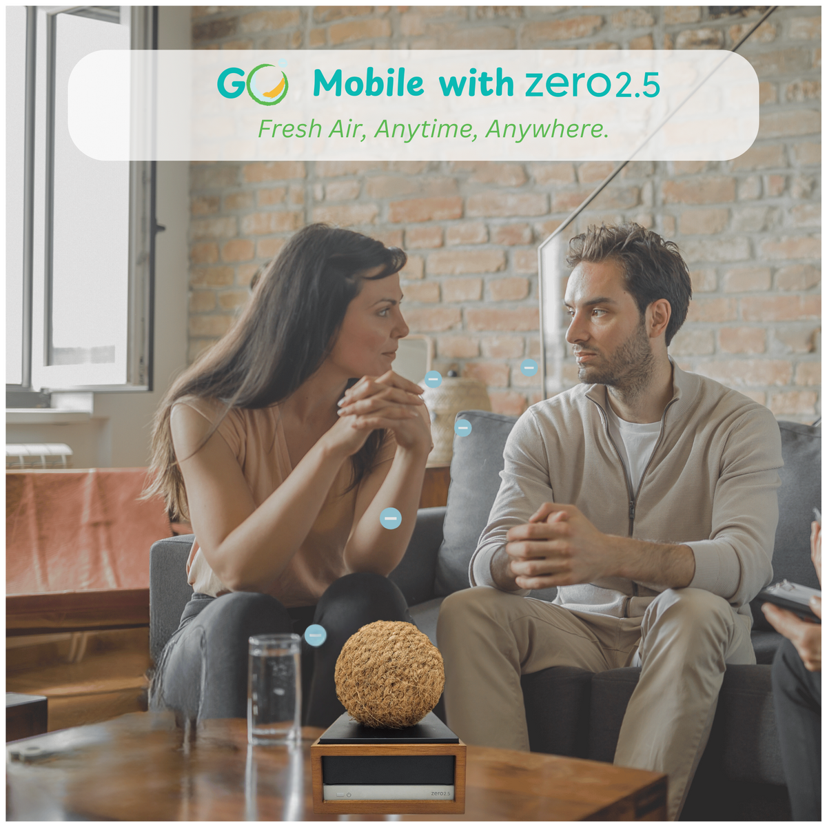 Portable Natural Fiber Purifier PF4000 (Battery Powered) | Negative Io – Zero2.5