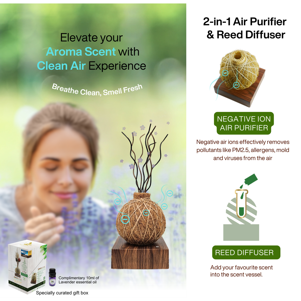 Air Scent Series - CF4600 | 2-in-1 Negative Ion Air Purifier & Reed Di ...