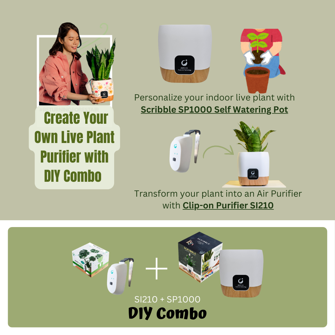 DIY Live Plant Air Purifier Combo – Zero2.5